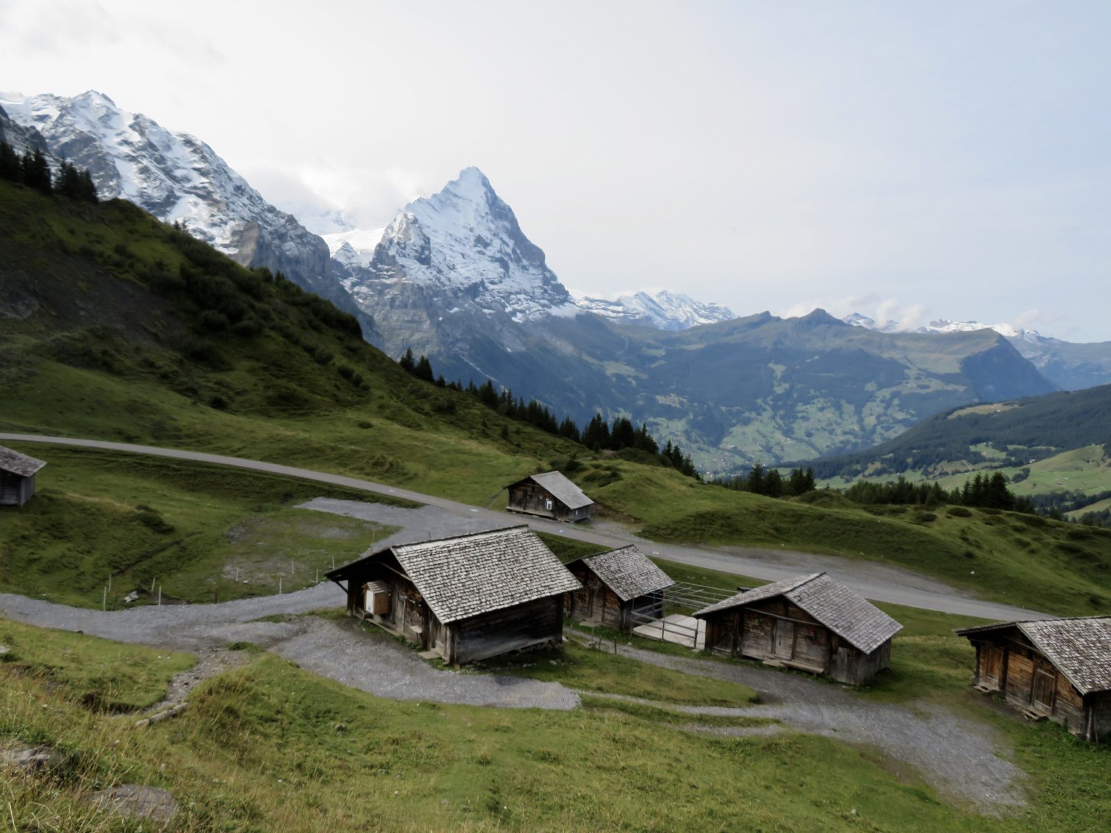 Grosse Scheidegg to First | Joni's Jottings